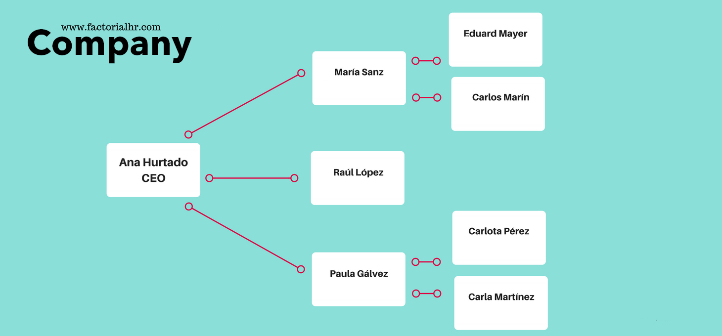Free Template For Creating Your Own Organizational Charts Factorial