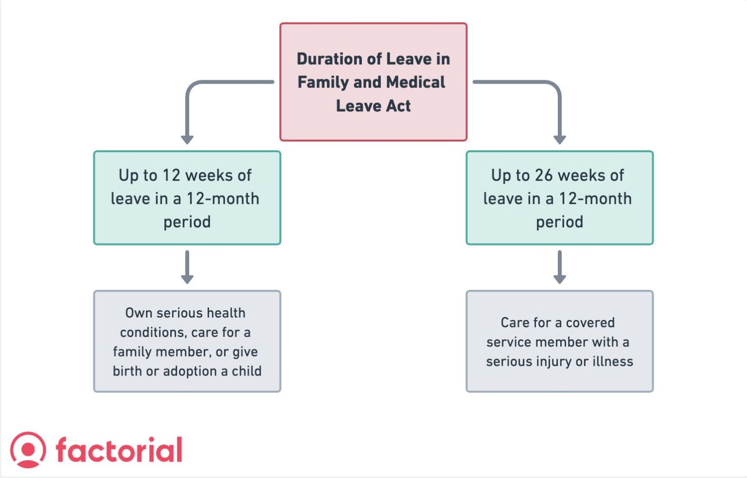 Family and Medical Leave Act Florida (FMLA): How Does It Work?