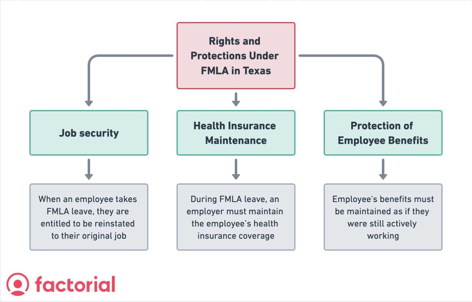 Family and Medical Leave Act (FMLA) Texas: How Does It Work?