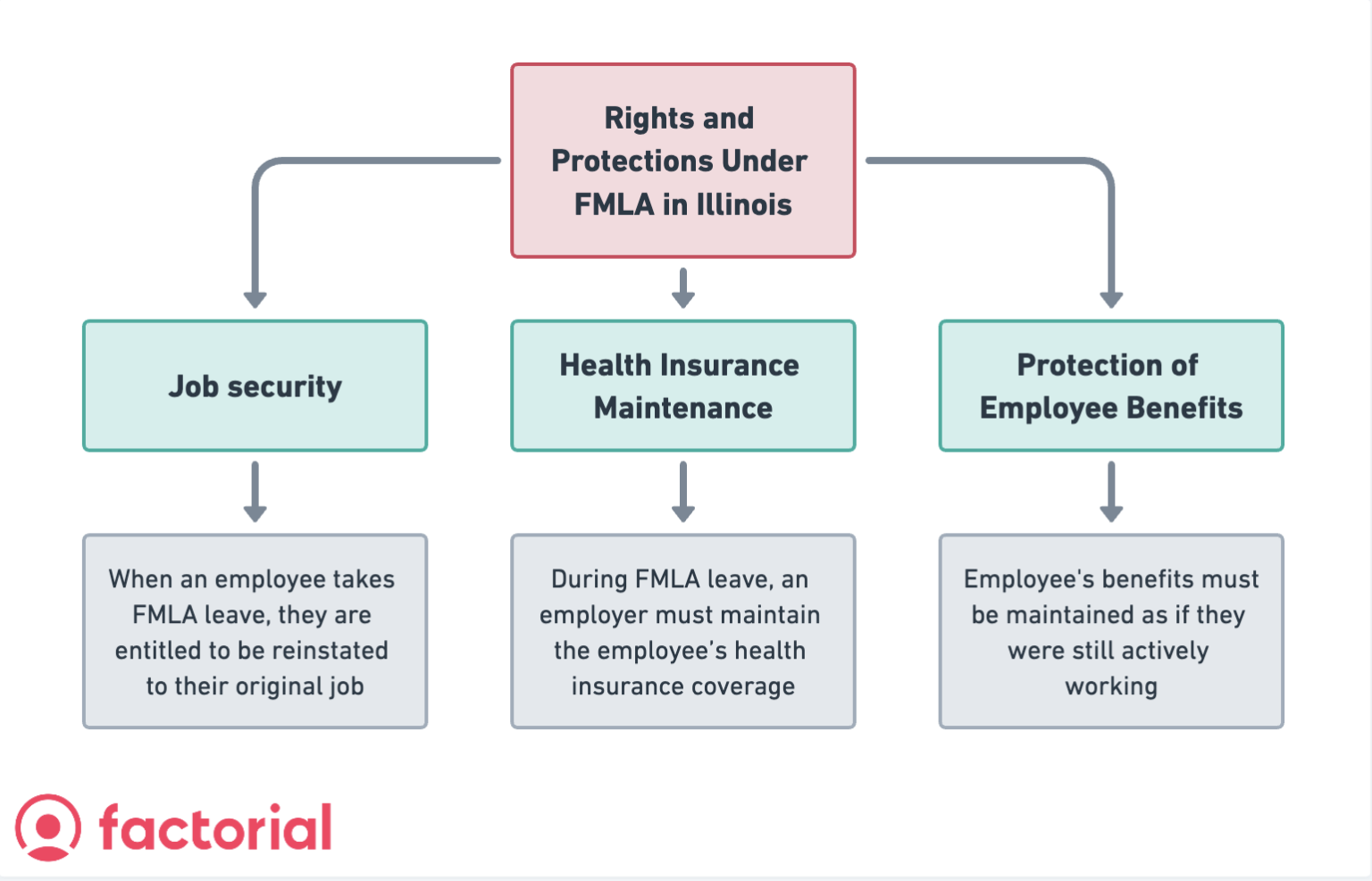 Family and Medical Leave Act Illinois (FMLA): Full Guide